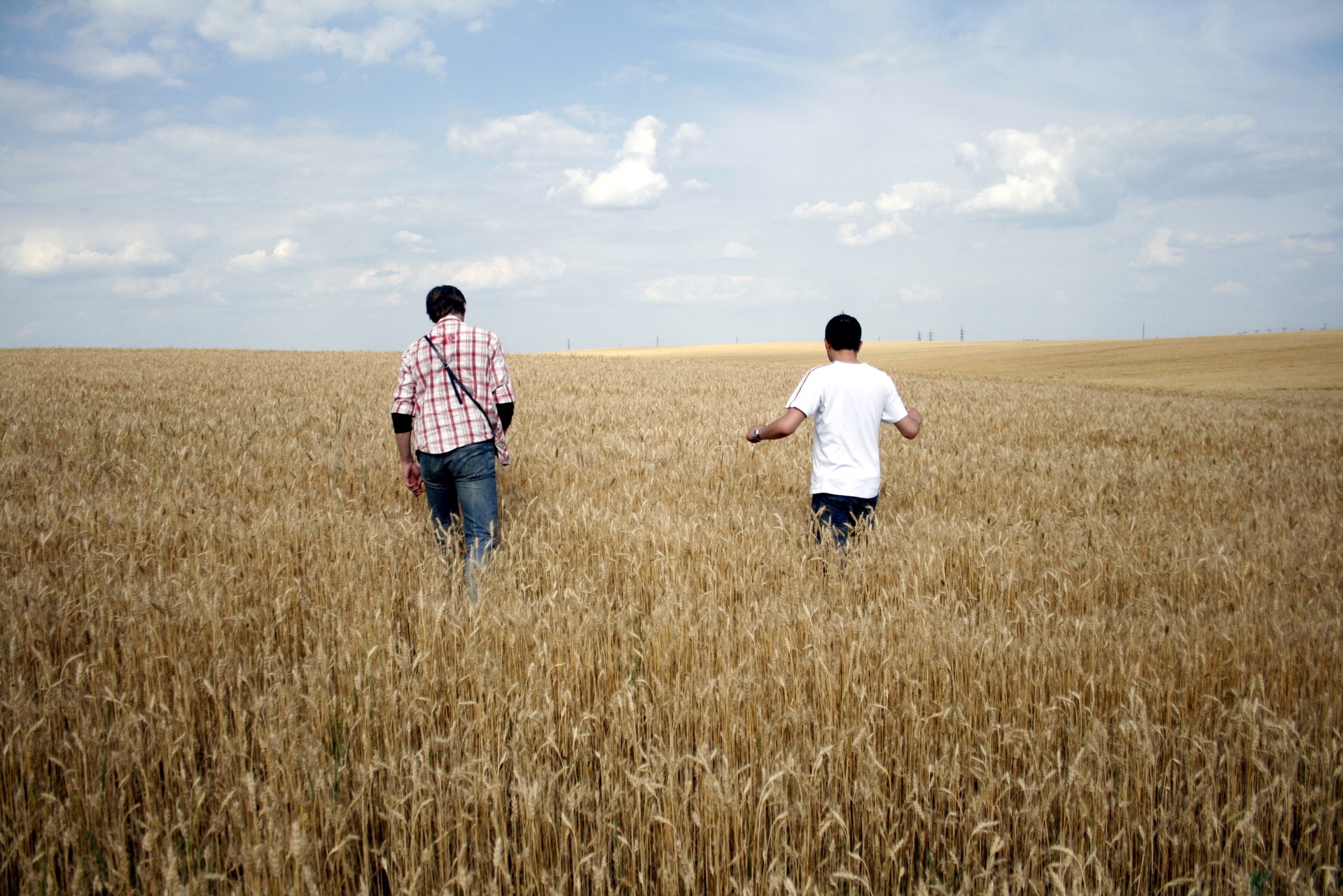 Relações interpessoais na extensão rural - potencialize.adm.br